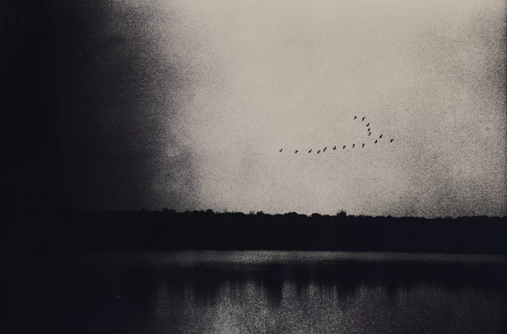 Horizons by Roberto De Mitri, Photography, film 24x36, 35mm | Art Limited
