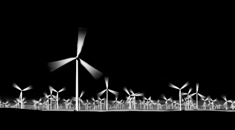 Wind Forest by Ron Rothbart, Photography, Digital | Art Limited