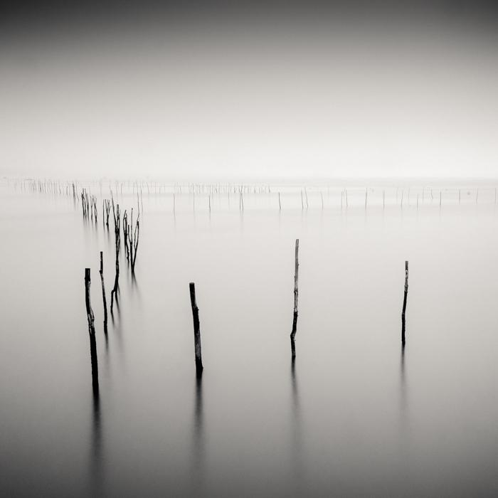 Multitude by Mathieu Lasserre, Photography, Digital | Art Limited