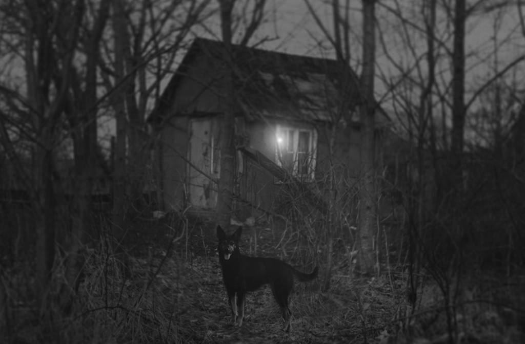 Untitled by Szarada, art work | Art Limited