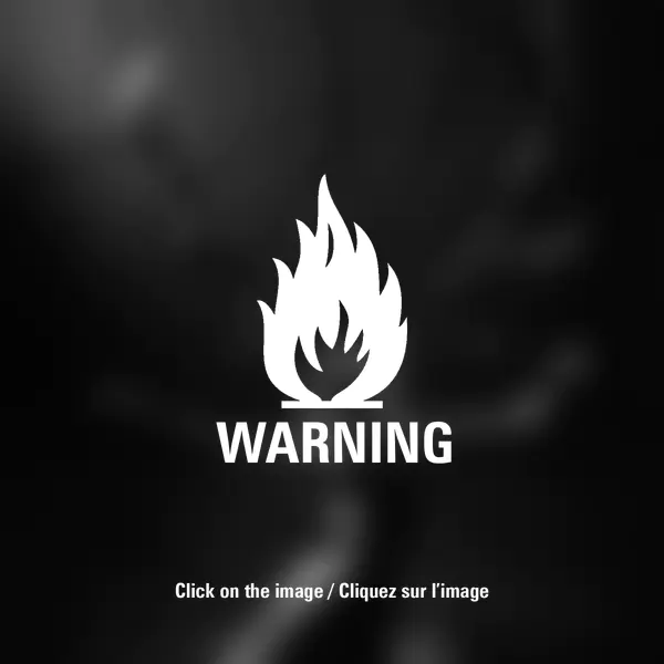 Conjuress by Dana Winkelman, Photography, Digital | Art Limited