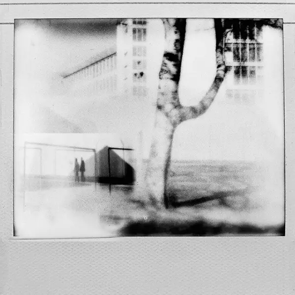 Waiting for spring by Simone Sander, Photography, Instant film | Art ...
