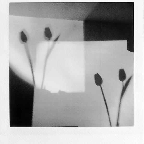 Waiting for spring by Simone Sander, Photography, Instant film | Art ...