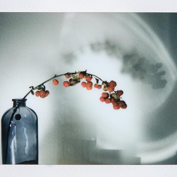 Waiting for spring by Simone Sander, Photography, Instant film | Art ...