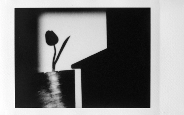 Waiting for spring by Simone Sander, Photography, Instant film | Art ...