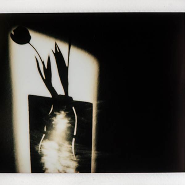 Waiting for spring by Simone Sander, Photography, Instant film | Art ...