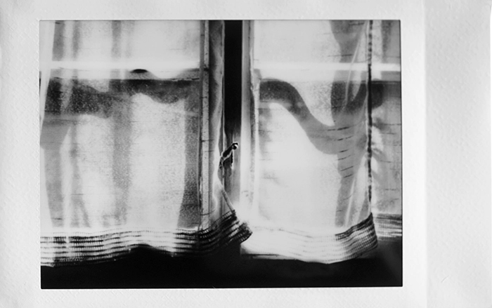 Window by Simone Sander, art work | Art Limited