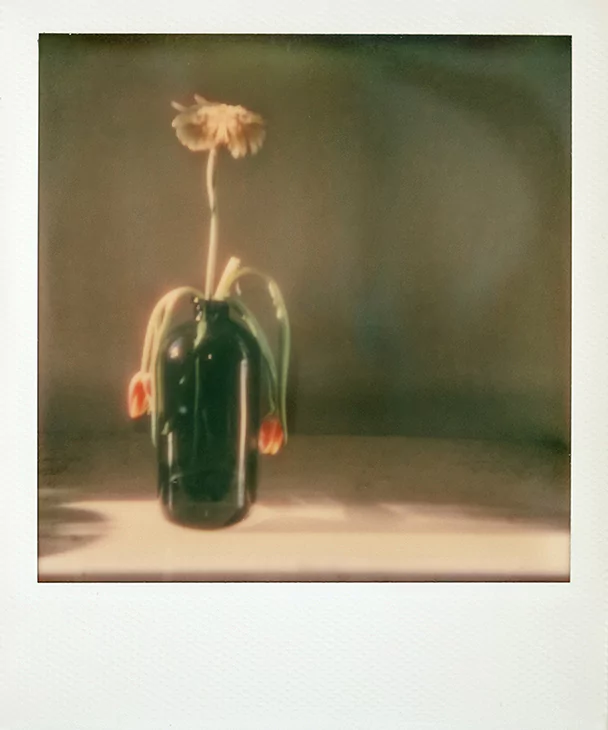 Tempus fugit by Simone Sander, art work | Art Limited