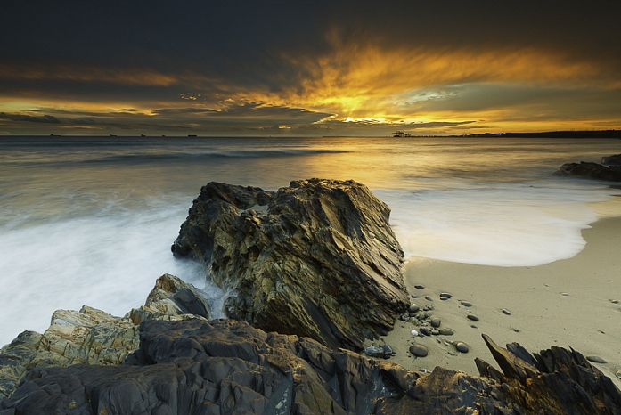 Dragon And The Phoenix by Joao Freire, art work | Art Limited