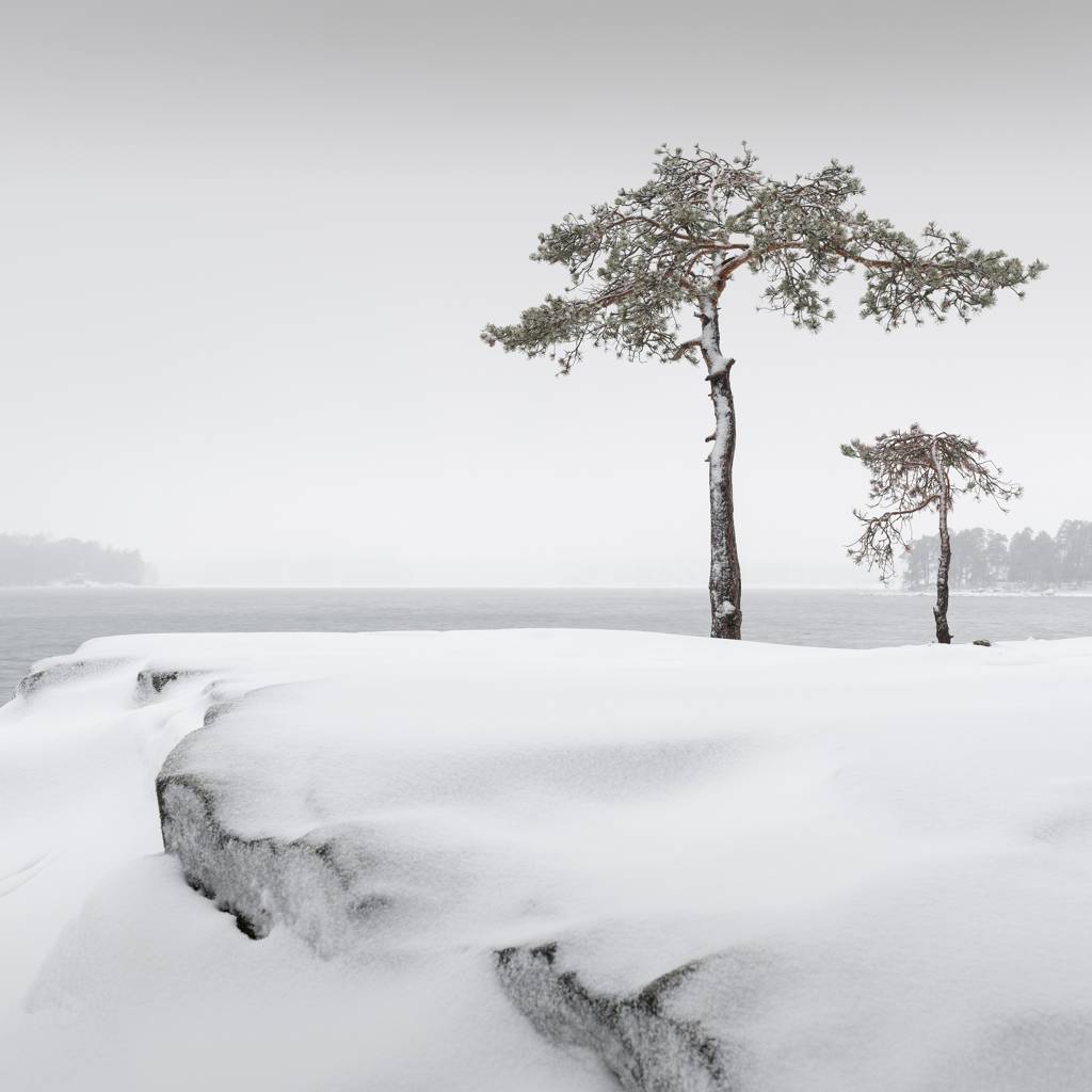 Two Pines by Vesa Pihanurmi, Photography, Digital | Art Limited