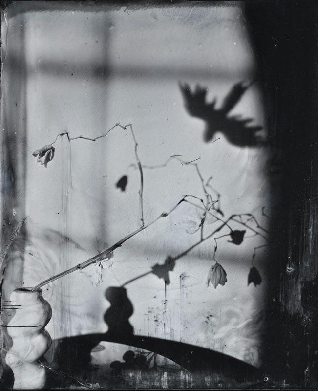 Between Regret And Hope by Karmela Kopcic, Photography, Large-format ...