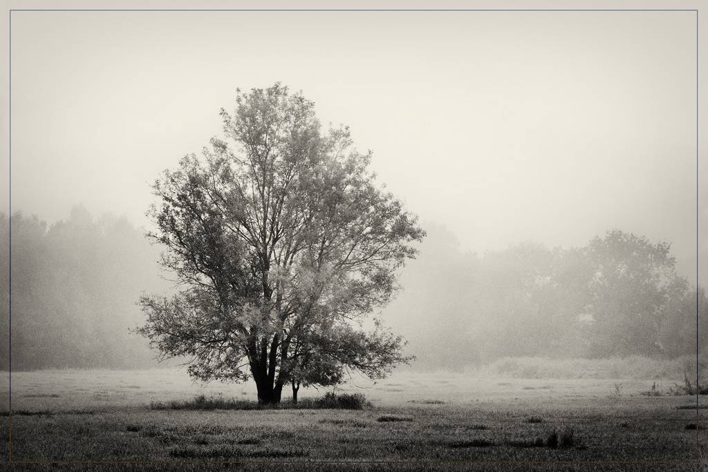 BROUILLARD EN CAMPAGNE par Marco Viller, Photographie, Numérique | Art ...