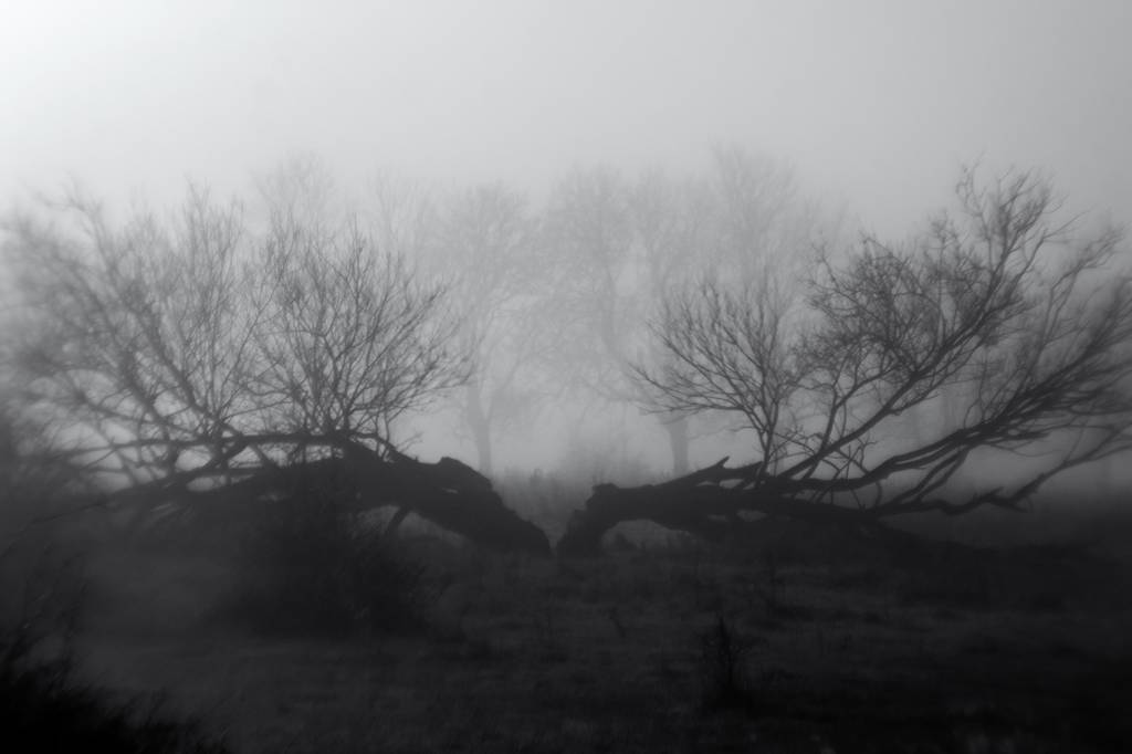 Hazy by Jørgen Feldstedt, Photography, Digital | Art Limited