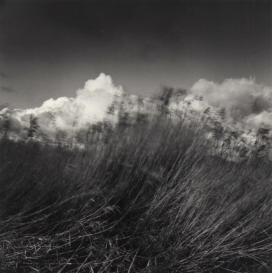 grey clouds foreground