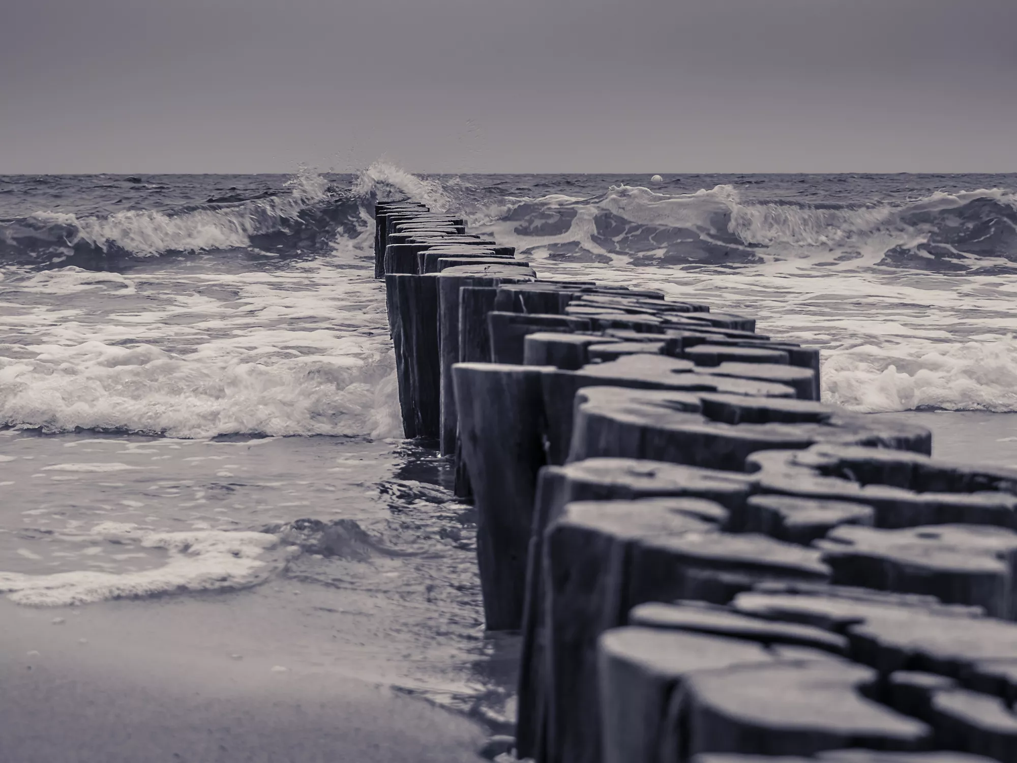 Groyne by Roland Hoffmann, art work | Art Limited
