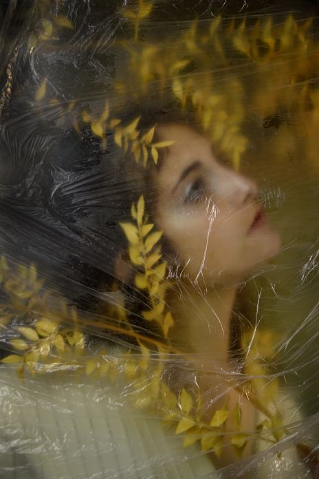 Vision softly creeping by Laura Daddabbo, Photography, Digital | Art ...