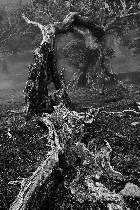 Fracture by Bernard Combe, art work | Art Limited