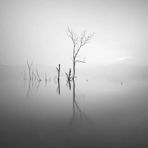 Primordial forms by Teo Kefalopoulos, Photography, Digital | Art Limited