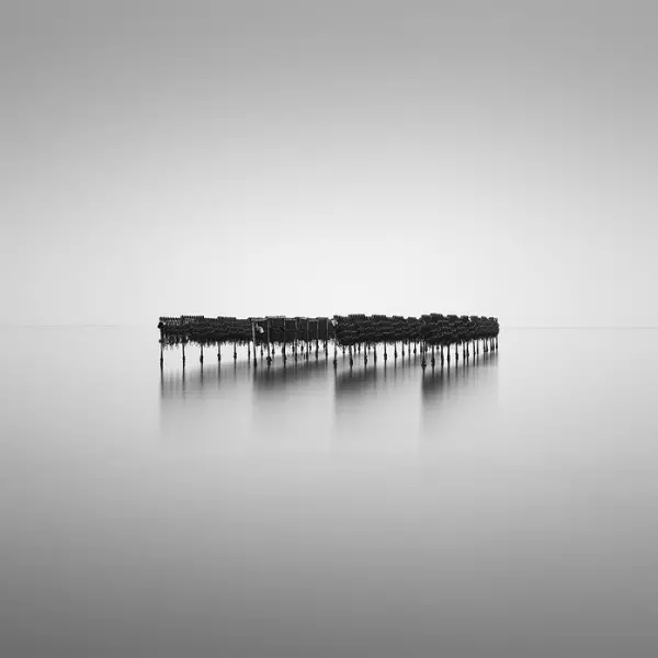 Primordial forms by Teo Kefalopoulos, Photography, Digital | Art Limited