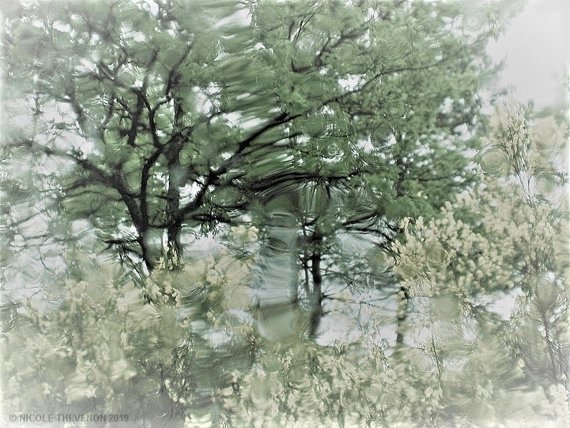 Vague Memory by Nicole Thévenon, Photography, Digital | Art Limited