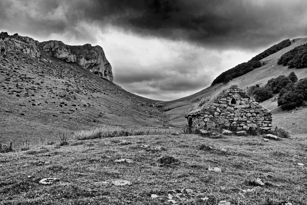 Peaceful pasture by Jean-paul Monnier, art work | Art Limited