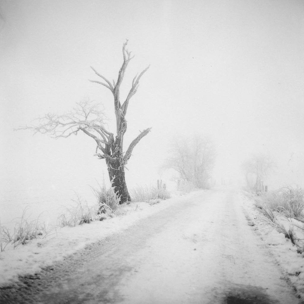 Ovesné Kladruby - Vysočany - 2022 by Pavel Úšovický, Photography ...