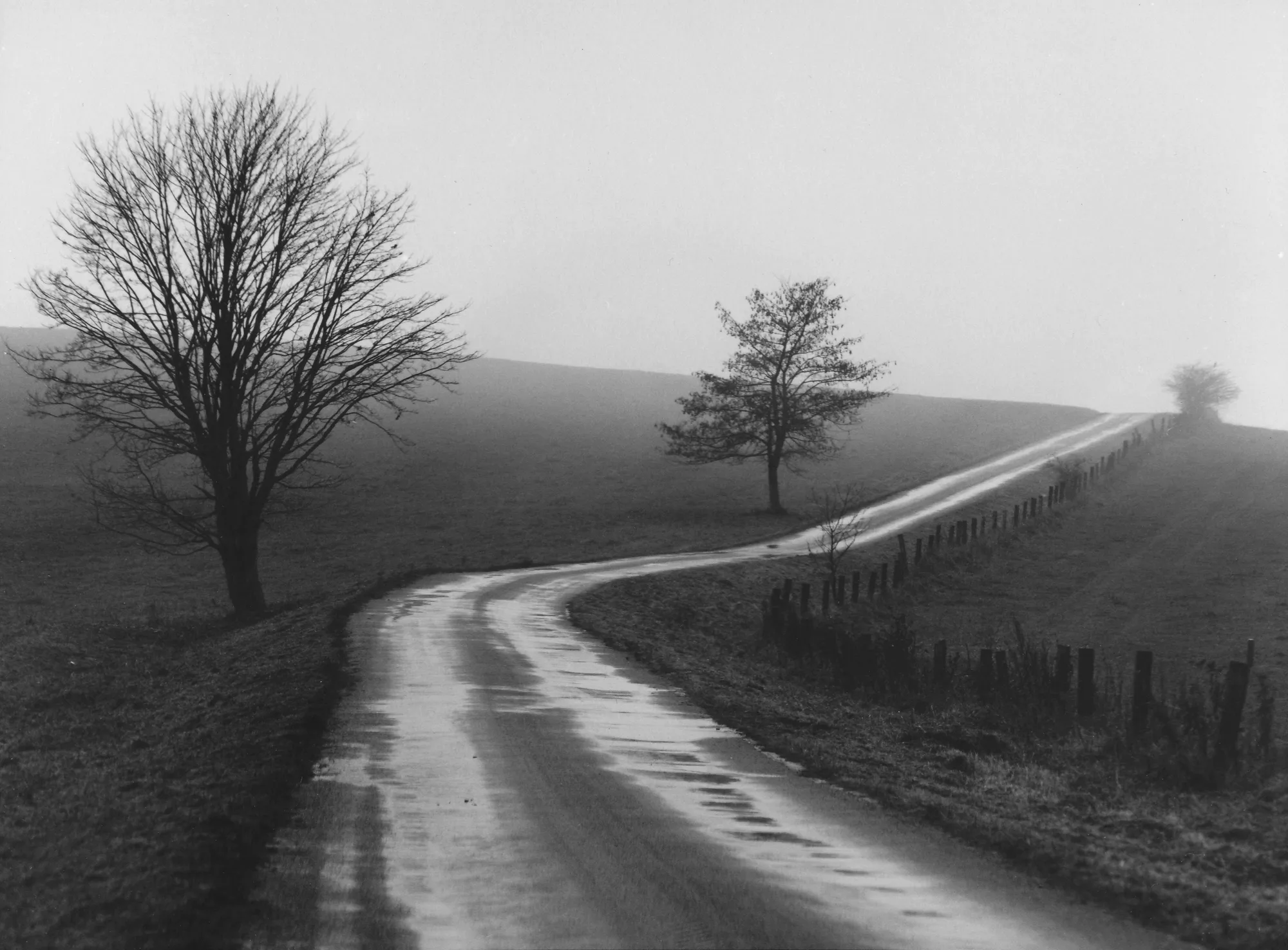 Plató 2021 by Pavel Úšovický, Photography, Medium-format film | Art Limited