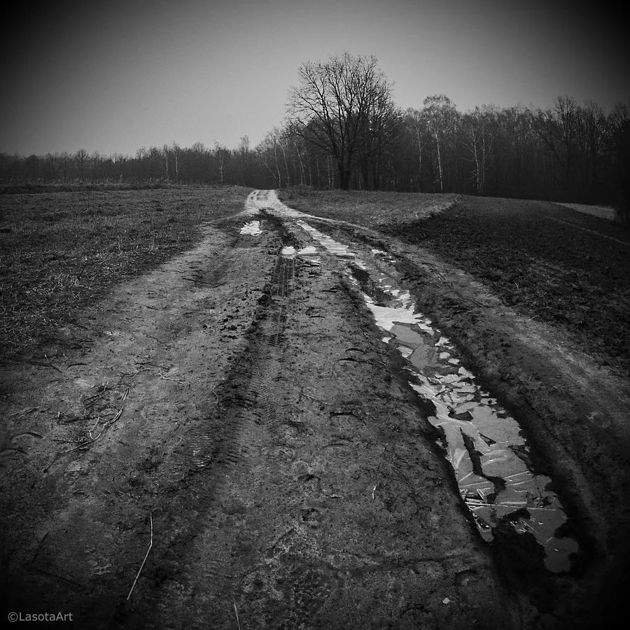 Very sad road by Maciej Lasota, art work | Art Limited