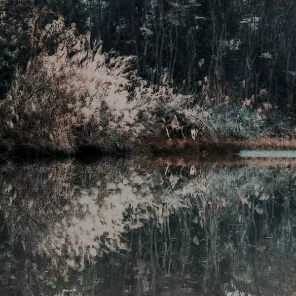 ! by Yucel Basoglu, Photography, Digital | Art Limited