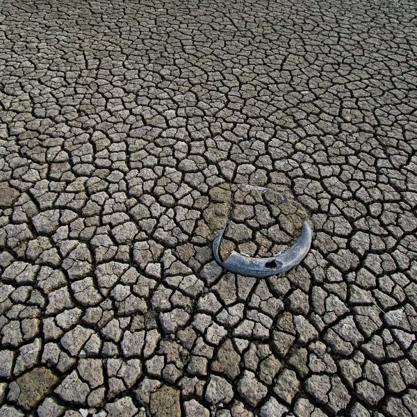 Le portrait by Ingen Jones, Photography, Digital | Art Limited