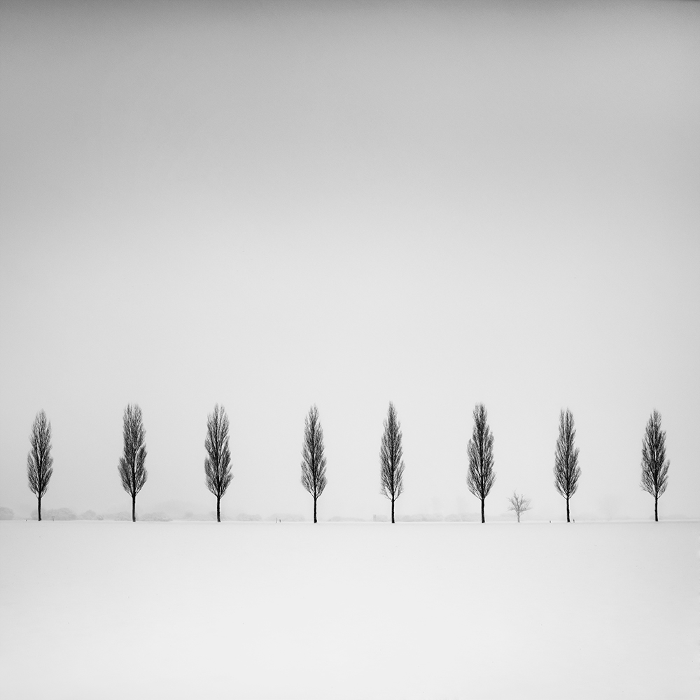 Tree-lined road, study #6 by Thomas Bichler, Photography, Digital | Art ...