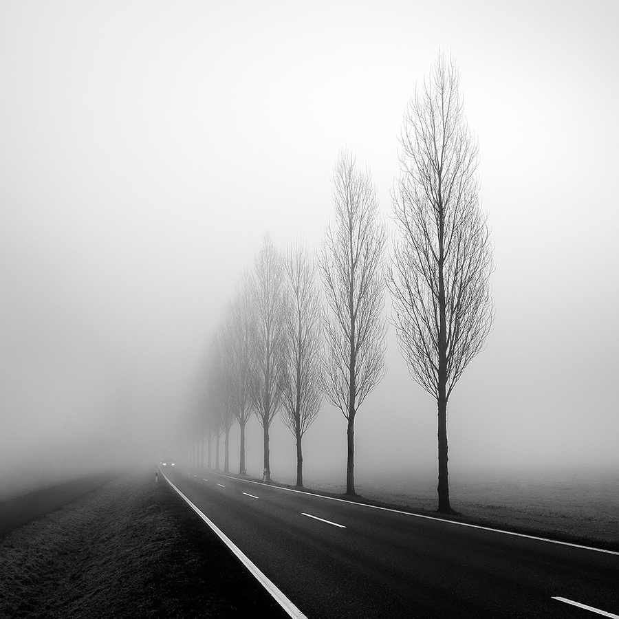 Tree-lined road, study #8 by Thomas Bichler, Photography, Digital | Art ...