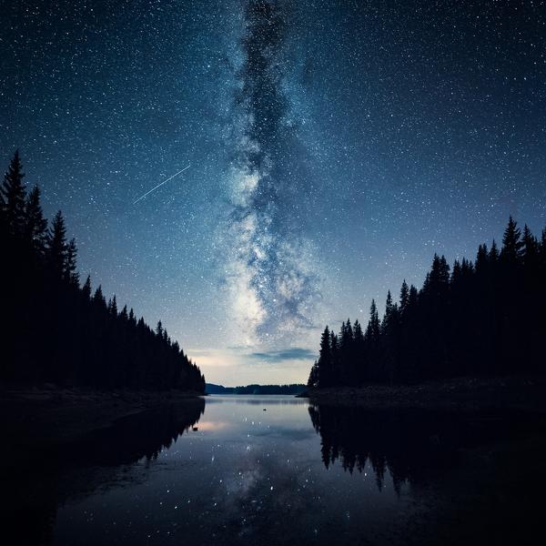 Enchanted forest by Emil Rashkovski, Photography | Art Limited