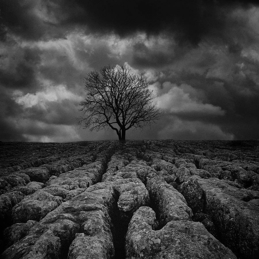 Trials Tribulations by Mark Pimlott, art work | Art Limited