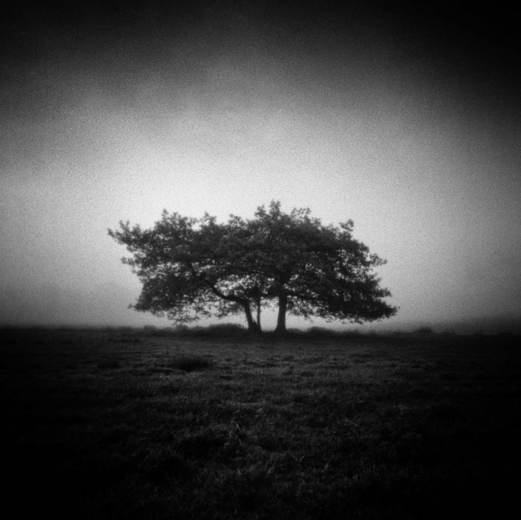 A New Dawn by Mark Pimlott, Photography, Pinhole | Art Limited