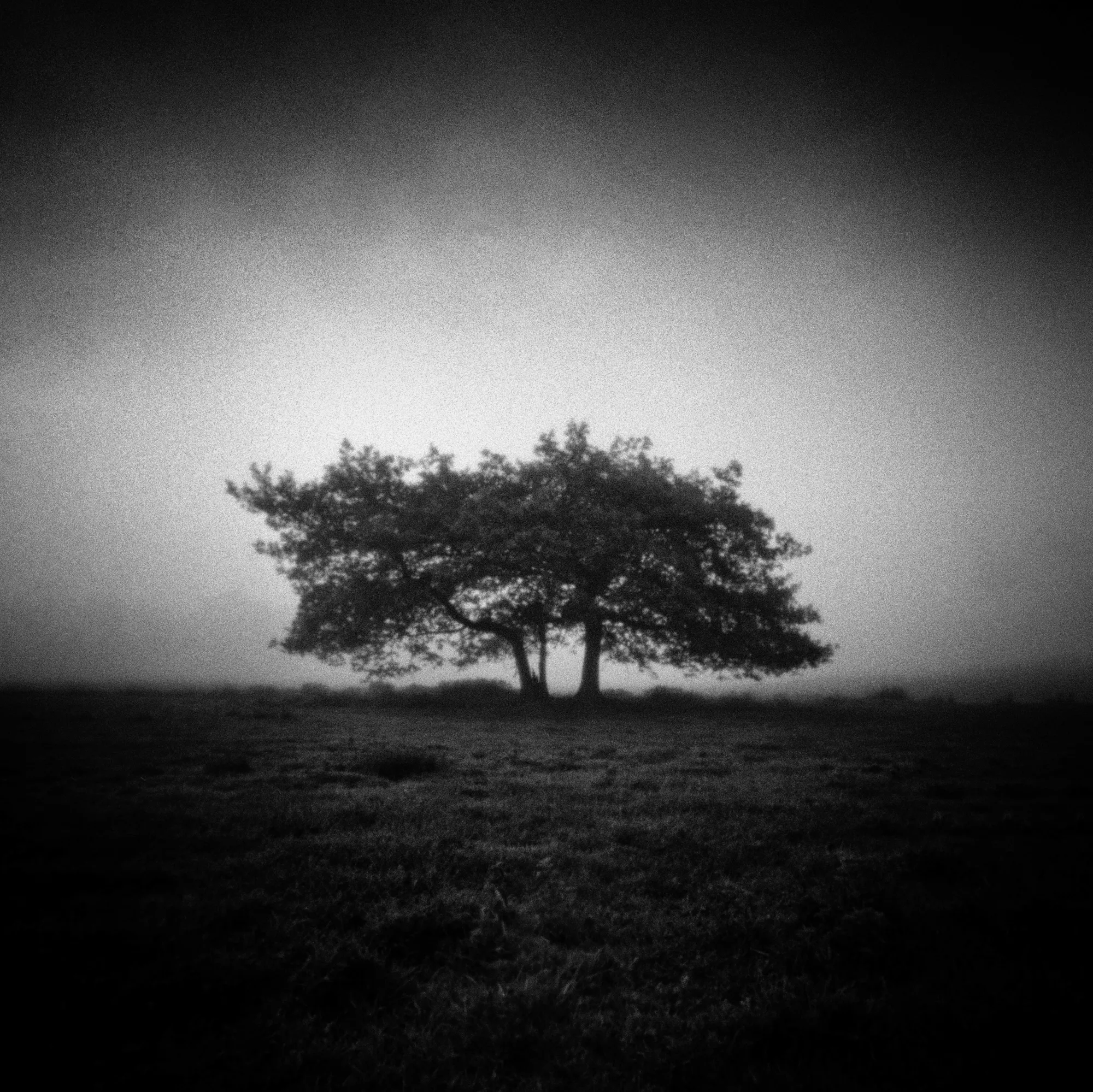 A New Dawn by Mark Pimlott, Photography, Pinhole | Art Limited