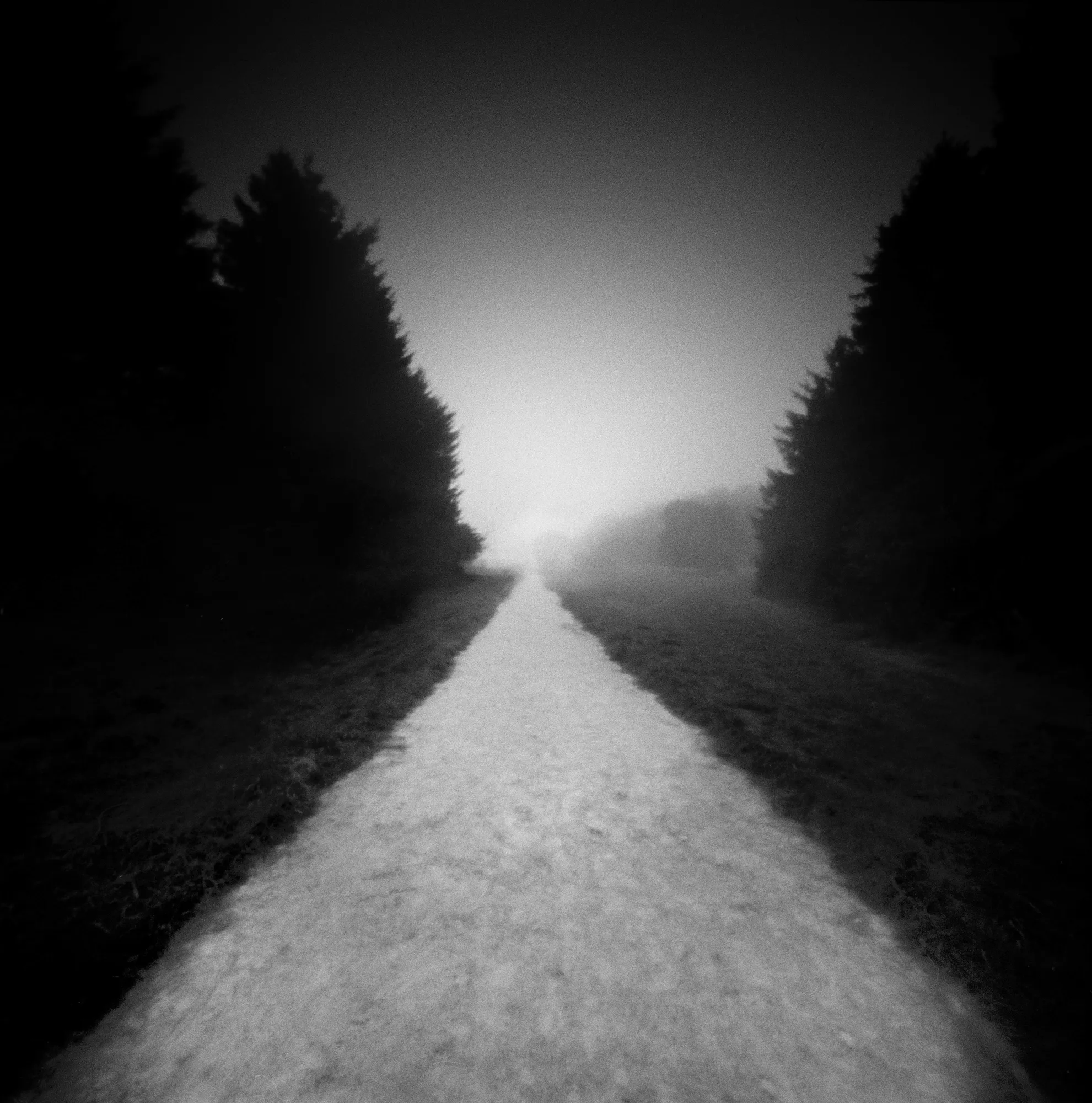 The Drive by Mark Pimlott, Photography, Pinhole | Art Limited