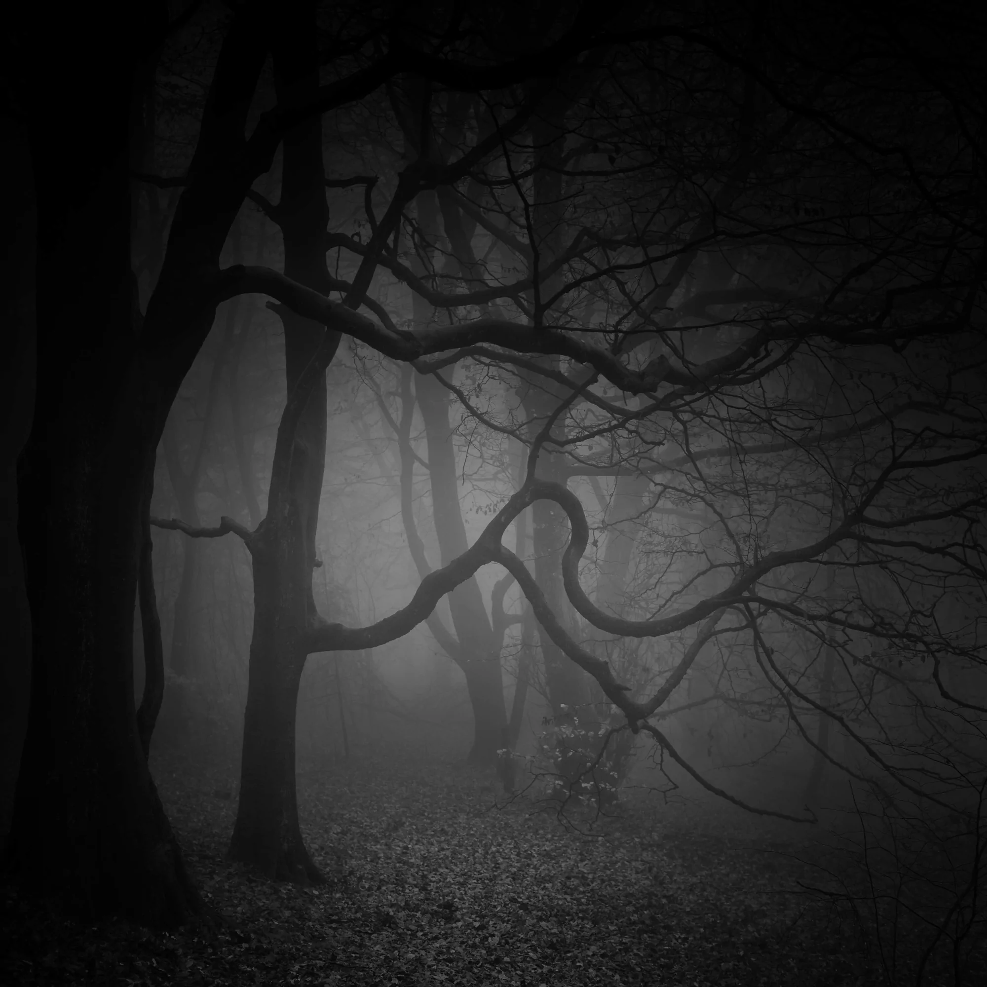 Sleepy Hallow by Mark Pimlott, Photography, Digital | Art Limited