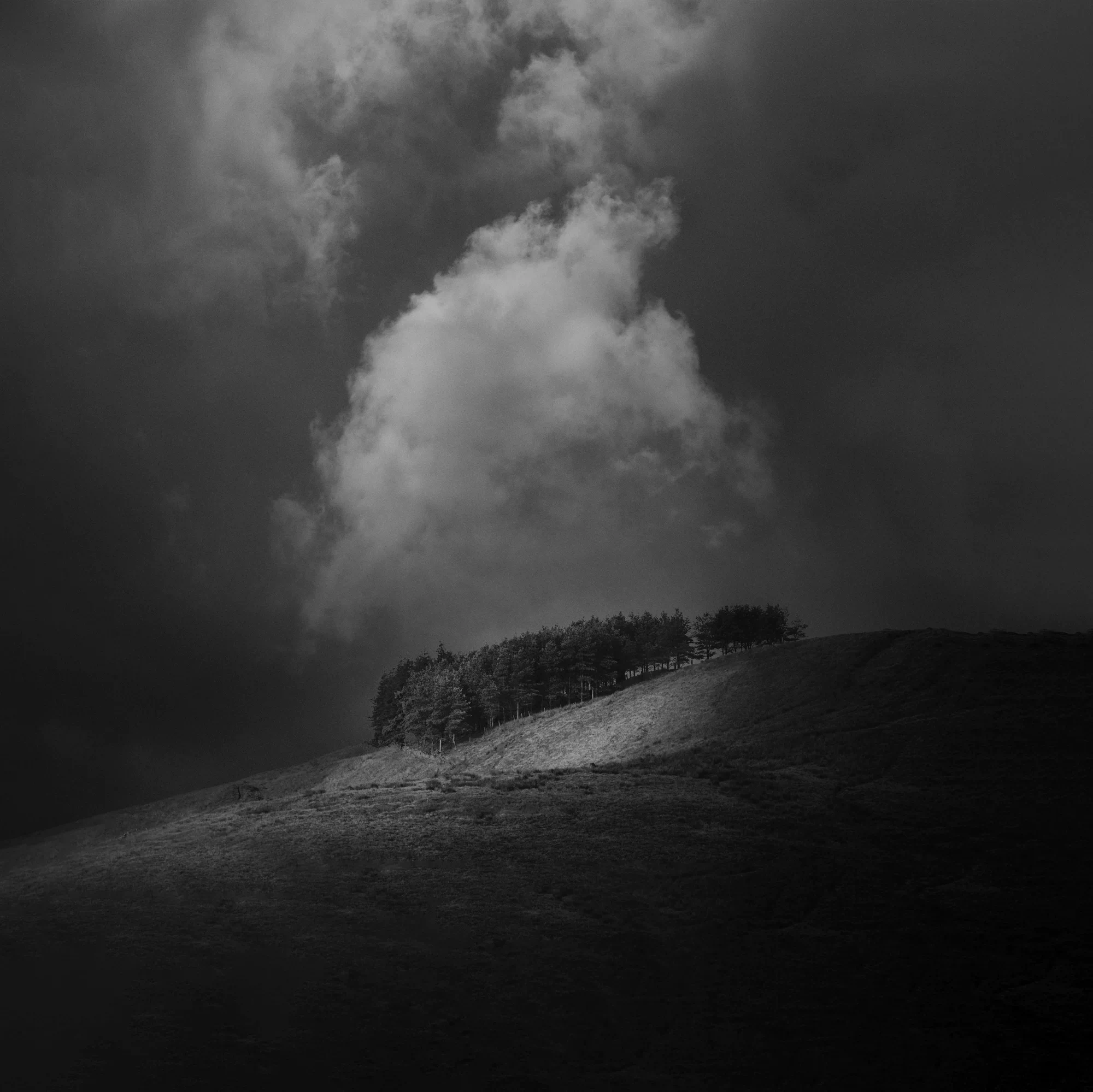 The Gathering by Mark Pimlott, Photography, Digital | Art Limited