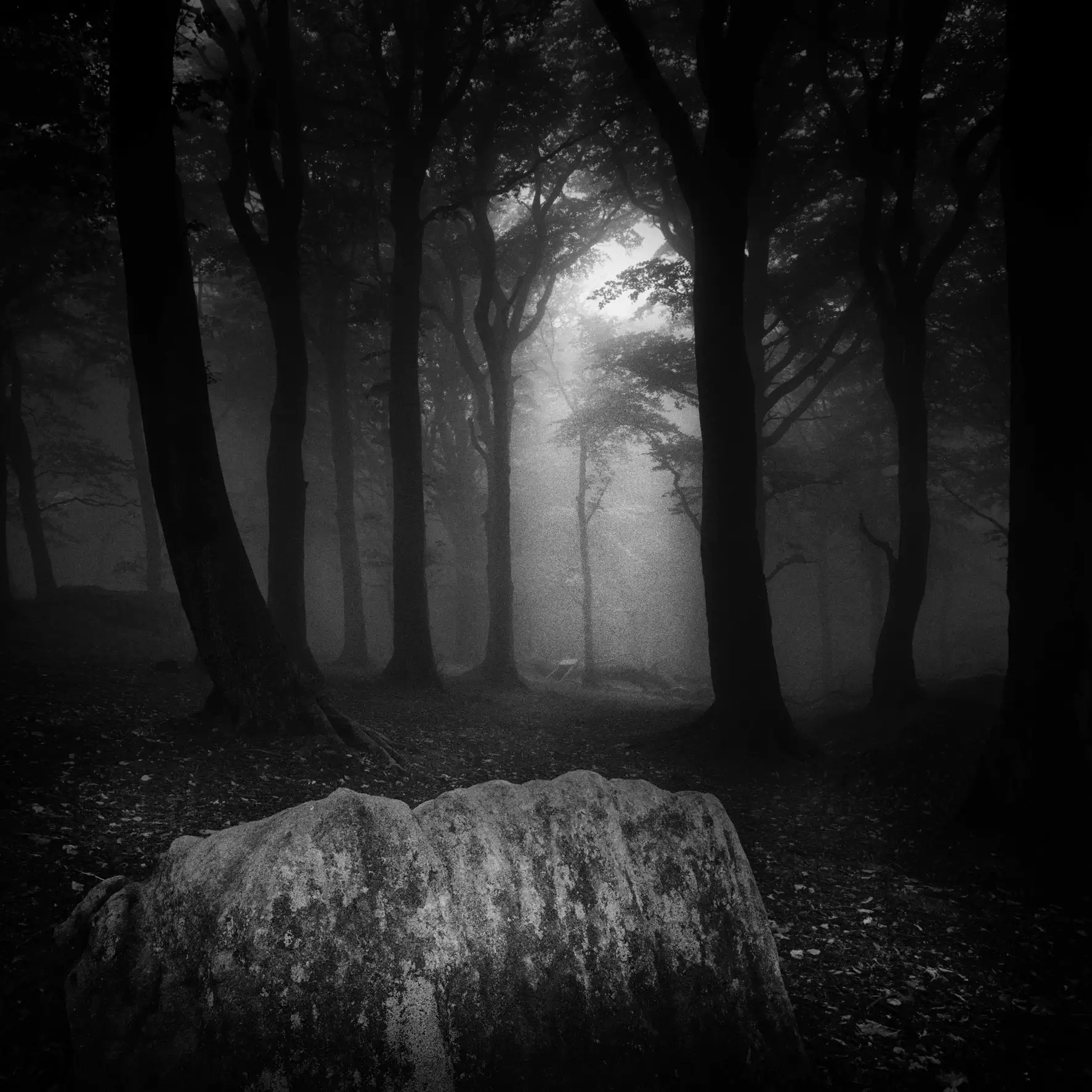 Enlightenment by Mark Pimlott, Photography, Digital | Art Limited