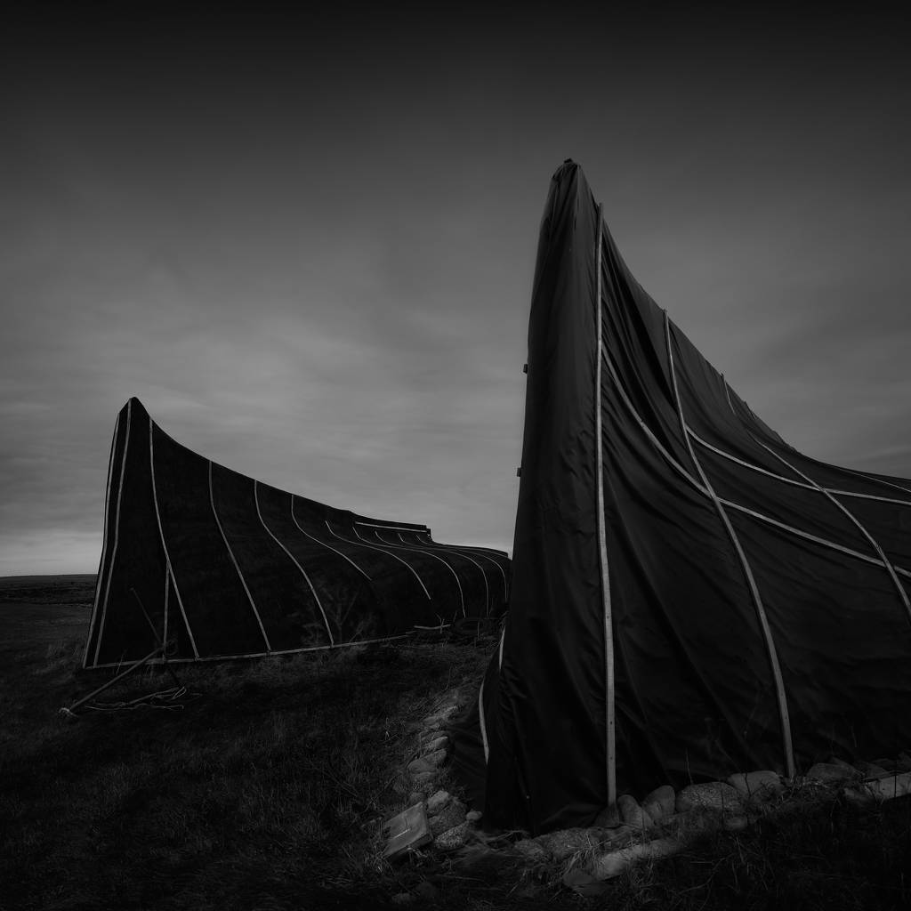 Holy Island Boat Study II by Mark Pimlott, art work | Art Limited