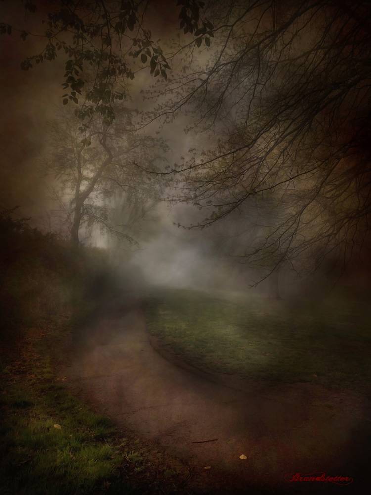 A Calm Place by Tony Brandstetter, Photography, Digital