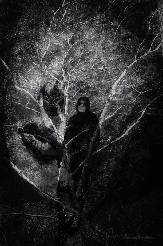 Climb Inside My Head With Me by Tony Brandstetter, Photography, Digital ...