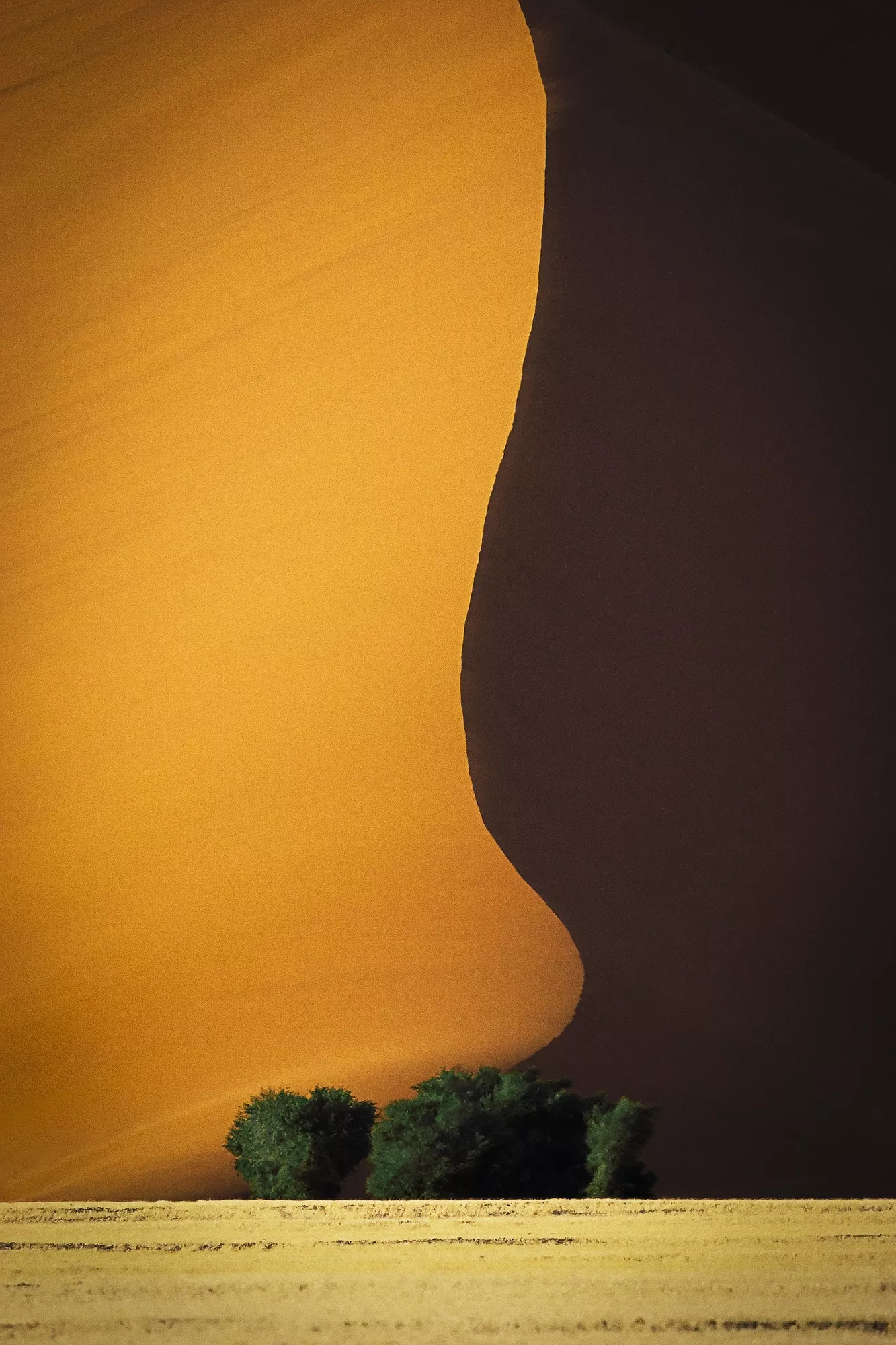 Amber Curve by John Rickwood, Photography, Digital | Art Limited