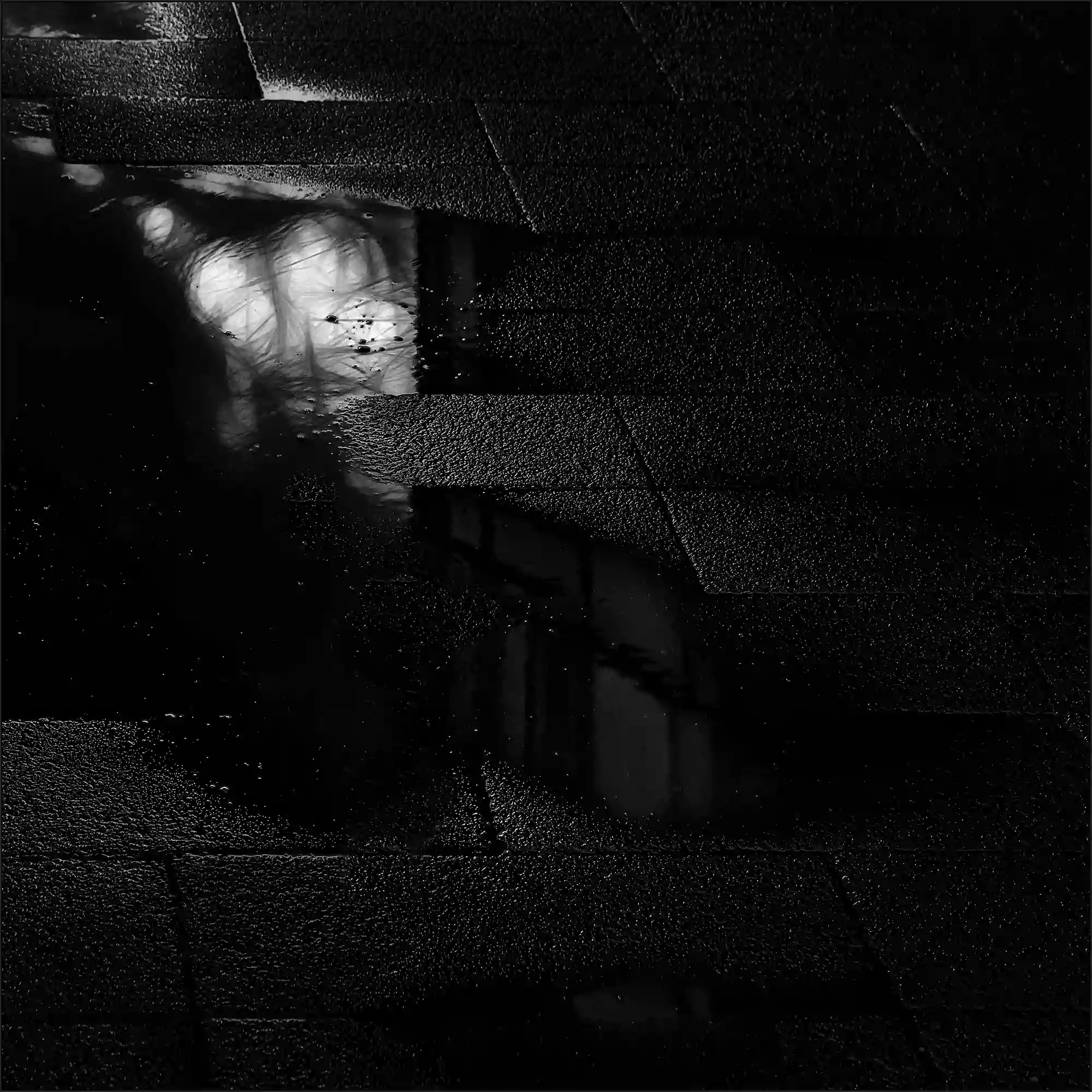 The rain puddle by Gilbert Claes, Photography, Digital | Art Limited
