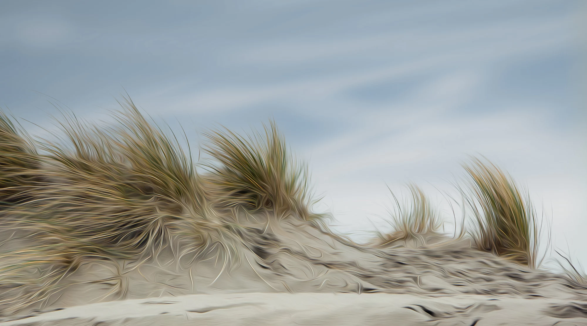 Beach grass by Gilbert Claes, Photography, Digital | Art Limited