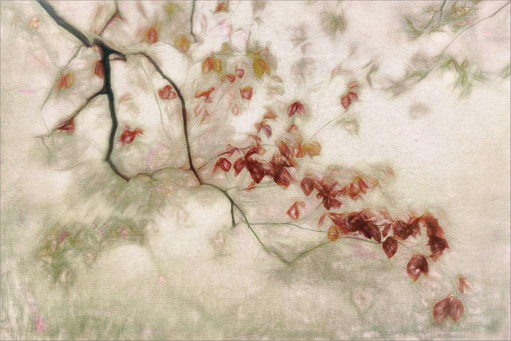 Falling leaves by Gilbert Claes, Photography, Digital | Art Limited