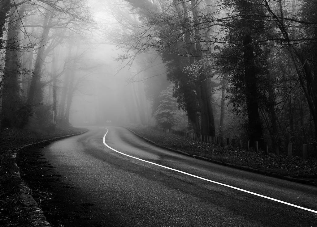 White line by Gérard Breiner, Photography, Digital | Art Limited