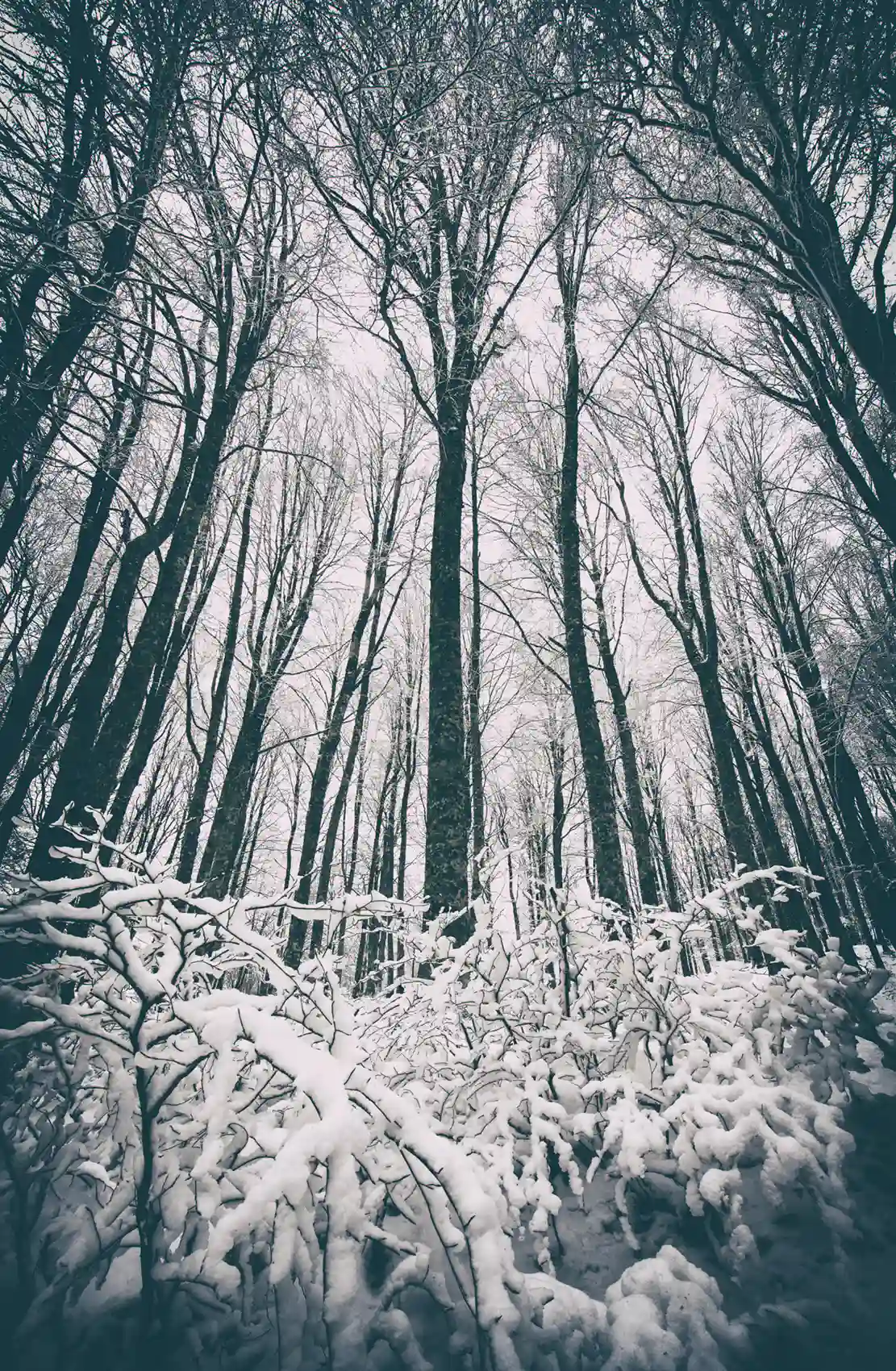 The magic is within us by Nicola Figliuolo, Photography, Digital | Art ...
