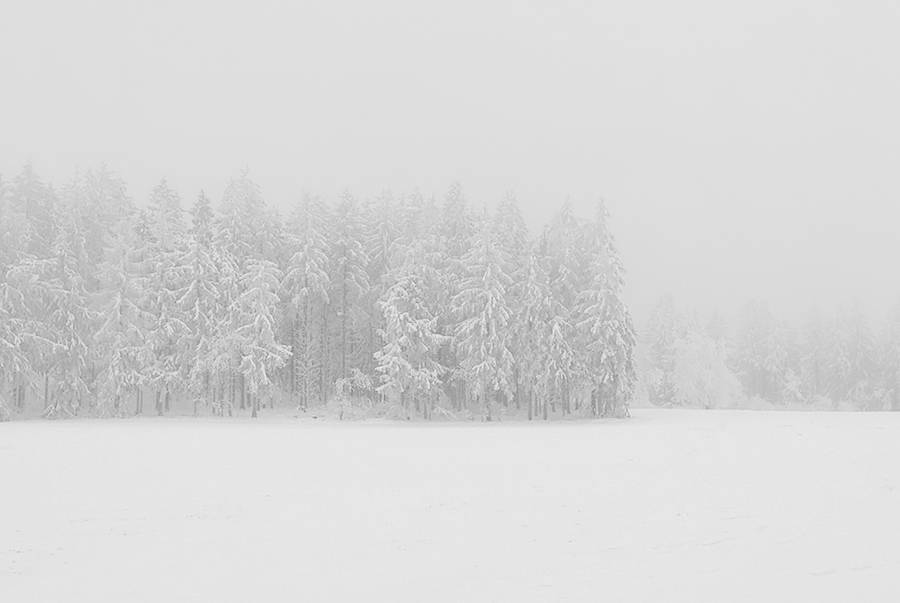 Isolation by M P, Photography, Digital | Art Limited
